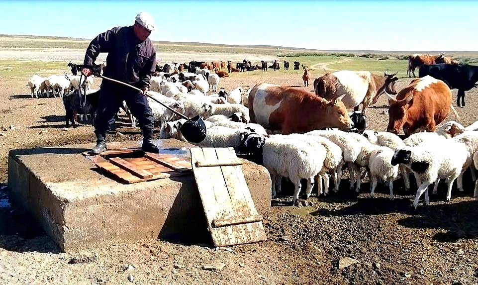 Mongolia – Franciscan Aid